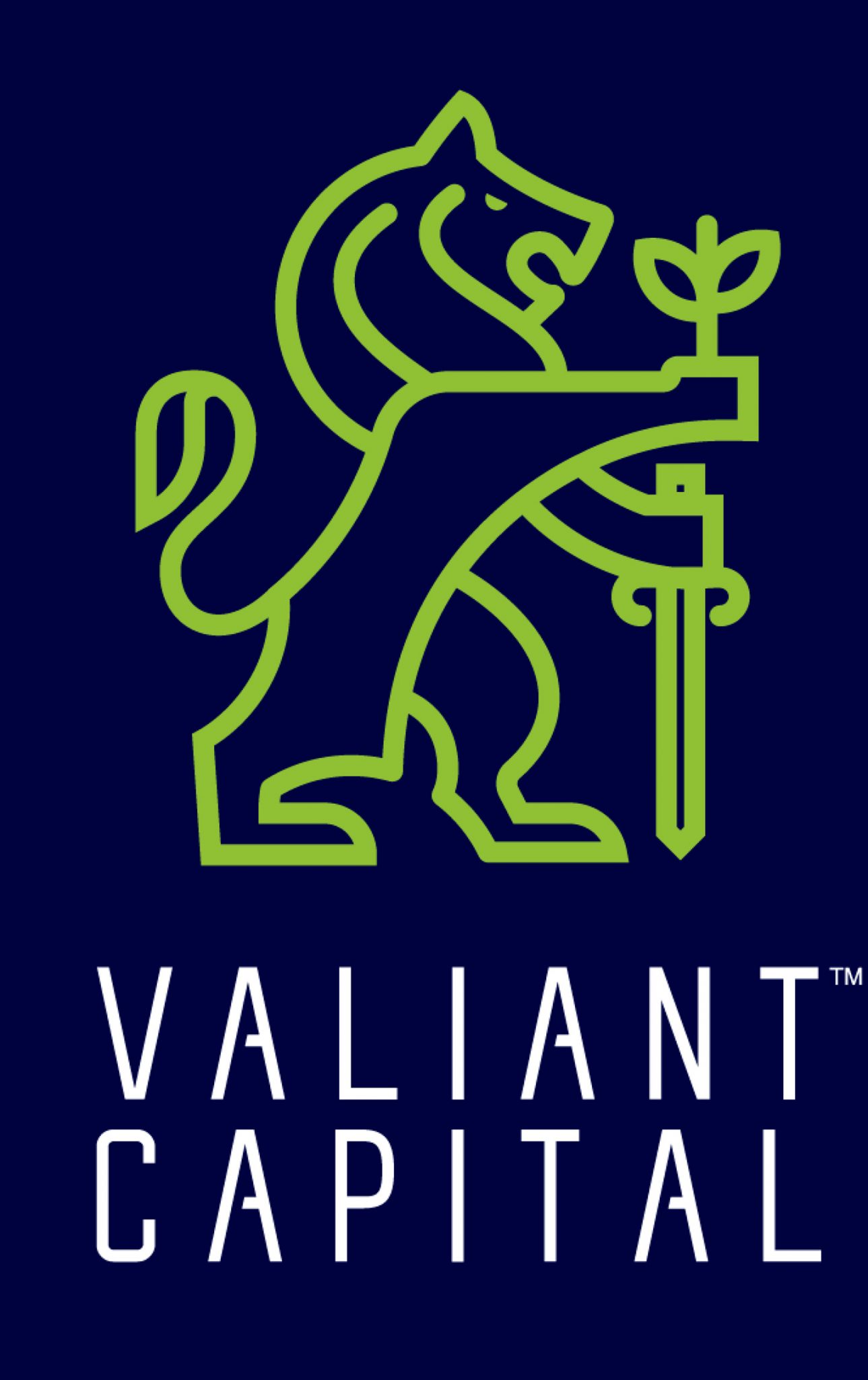 Meet the team – Valiant Capital